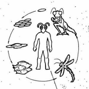 The Terra Papers (and beyond) – The Saucer Life